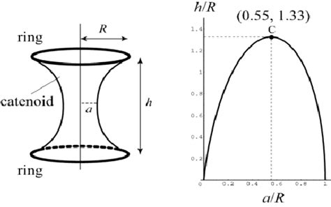Showing A Catenoid That Is A Minimum Surface Which Follows The