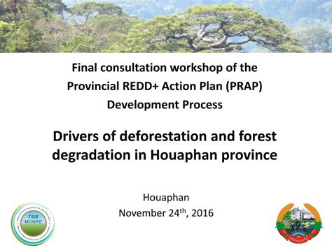 Pdf Drivers Of Deforestation And Forest Degradation In · Pdf