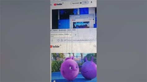 Up To Faster 24 Parison To Sunny Bunnies Youtube
