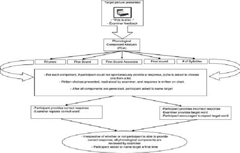 Phonological Components Analysis Treatment Protocol Download