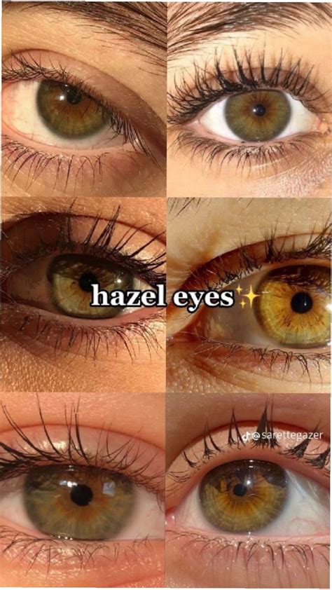 Hazel Hazel Vs Brown Eyes Hazel Eye Color Types Of Hazel