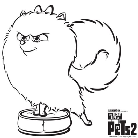 Gidget From The Secret Life Of Pets Coloring Page Free Printable Coloring Pages