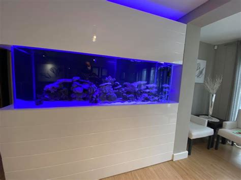 Marine Reef Dr Johannes Meyer Eye Surgeon