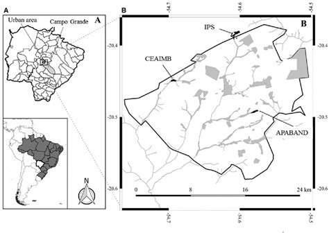 Figure 1 From Modularity And Specialization In Batfly Interaction Networks Are Remarkably