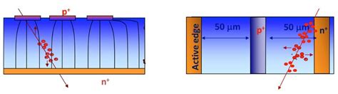 Diagram Of Thin Planar And 3d Sensors Showing The Structure Particle Download Scientific