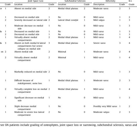 Radiologic Findings Of Knee Oa Severity Assessment Download