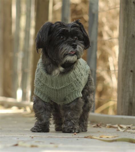 Luxury French Knit Jumper Eucalyptus By Huskimo Australia Monte And Co