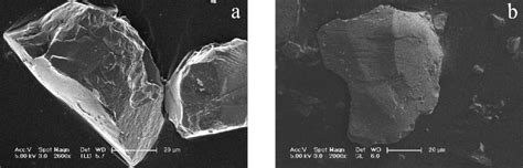 A Sharp Edged And Angular Grain From S5 B Grain With Abrasion Download Scientific Diagram