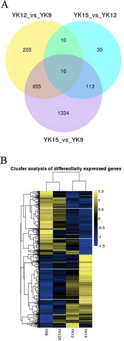Gene Expression Profiling And Number Of Differentially Expressed Genes