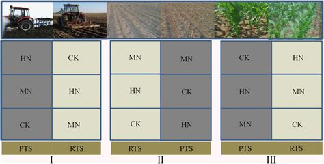 A Schematic Diagram Of The Experiment Design And Field Arrangement Download Scientific Diagram