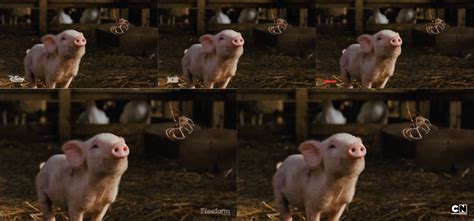 Charlottes Web On Any Networks By Markpipi On Deviantart