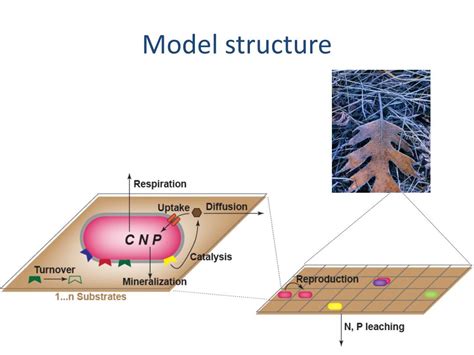 Ppt Can Microbial Functional Traits Predict The Response And Resilience Of Decomposition To