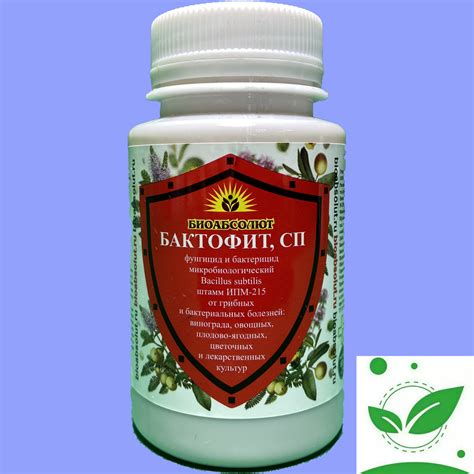 Бактофит СП Фунгицид и бактерицид 80 г купить в РастишкаТЛТ