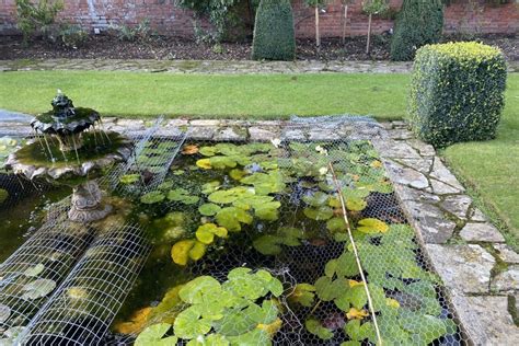 pond netting thrive
