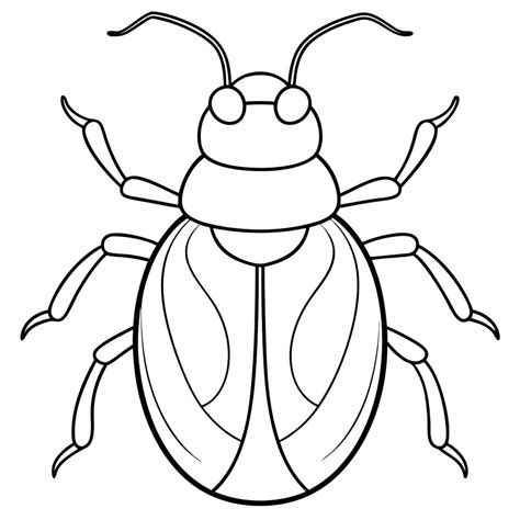 A Coloring Page Of An Junebug With No Color Just Black Lines Vector Illustration Line Art