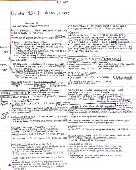 Cell Biology Lecture Notes For Chapters BIOL Studocu