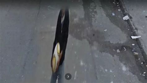 Google Maps Street View Glitch Shows Babe Babe Steamrolled In