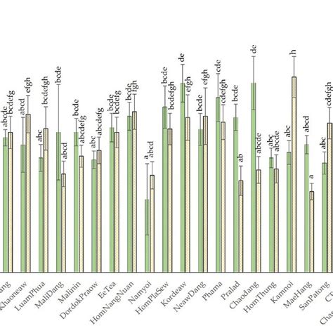 B Bulliform Cells In Rice Leaves Vary In Size And Density Leading To