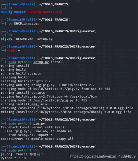 kali2020 4安装pip和setuptools： kali setuptools怎么安装高版本 csdn博客