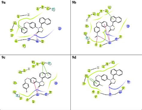 Binding Poses Of All Synthesized Compounds 9a 9j [color Figure Can Be