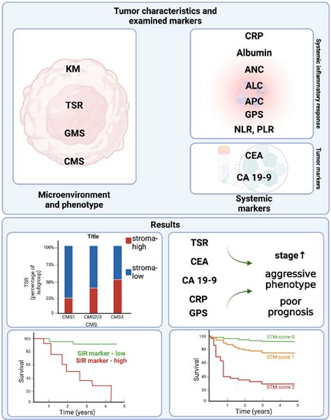 Figure 1 From Microenvironment Systemic Inflammatory Response And Tumor Markers Considering