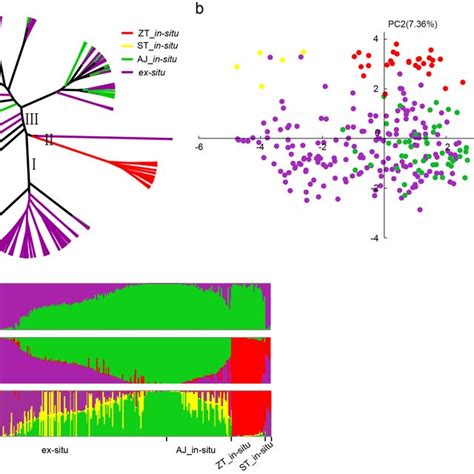 Population Structure Analysis Of Three In Situ Populations A