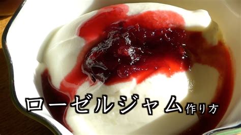 ローゼルジャム作り方 ローゼルジャムを作ろう🎵 How To Make Roselle Jam Lets Make Roselle Jam