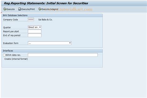 FZB SAP Tcode Control Parameters For BAV Statement