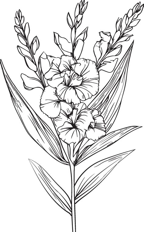 August Flower Of The Month