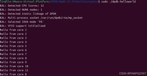 Ubuntu 虚拟机 Dpdk 协议栈开发 1、环境搭建 虚拟端口测试dpdk 2507 Ubuntu 编译 Csdn博客
