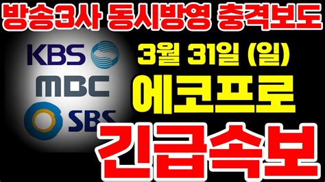 에코프로 주가 2분전 긴급속보 단독공개 절대 매도금지 Youtube