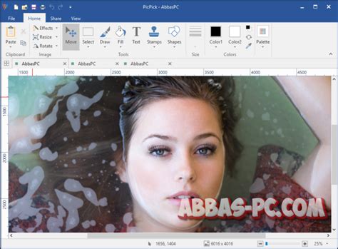 Github Muchel635 Picpick Crack