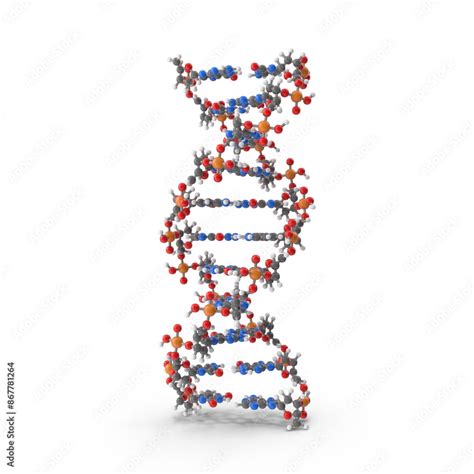 Realistic 3d Dna Model Png Images High Quality Dna Modeling Illustrations Scientific Dna Art