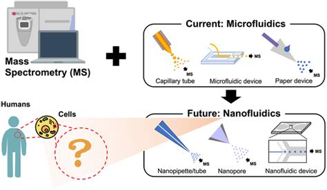 Schematic Diagram Of Current Microfluidics‐based Mass Spectrometry And