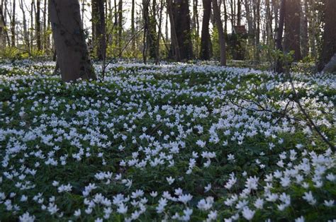 Ter Loo Natuurgebied