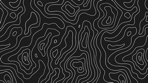 Abstract Black And White Wavy Lines Wallpaper
