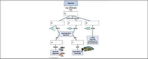 Solved Match The Terminology With The Appropriate Letter
