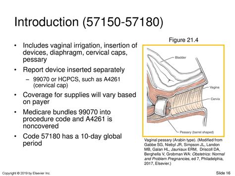CHAPTER REPRODUCTIVE INTERSEX SURGERY FEMALE GENITAL SYSTEM AND MATERNITY CARE AND