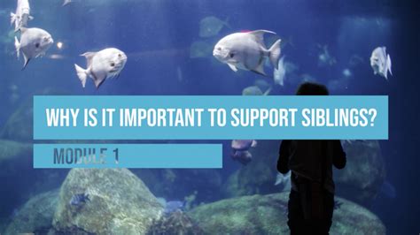 Sibling Support Videos For Professionals — Sibling Partnership For