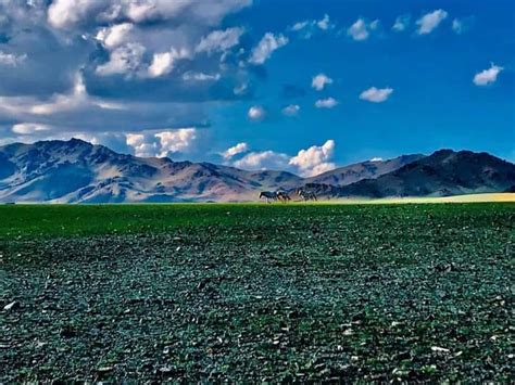 Нэг удмын ахан дүүс Facebook