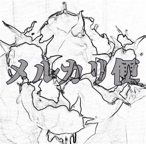 メルカリ便追加料金 差額 夜間指定 メルカリ