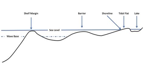 Solved Using The Folk And Dunham Classification Schemes Solved Using The Folk And Dunham Classification Schemes