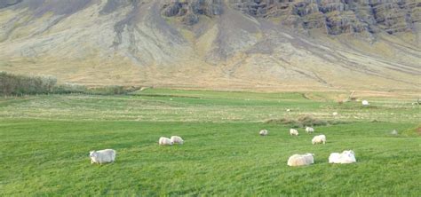 Rus Webinar Rapid Landslide Detection With Sentinel 1 Eo Science For Society