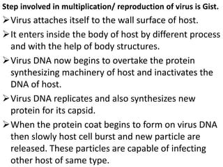 Reproductive Cycle Of Virus PPTX