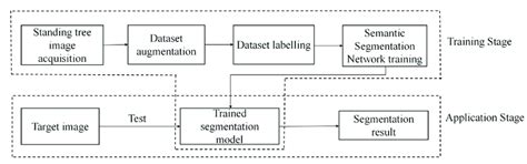 Flowchart Of Standing Tree Image Segmentation Download Scientific