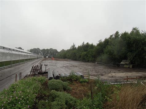 Neubau Von Einem Richel Folienblock Typ 8sr 2 Schiffe T I G Gewächshausbau Gmbh And Co Kg