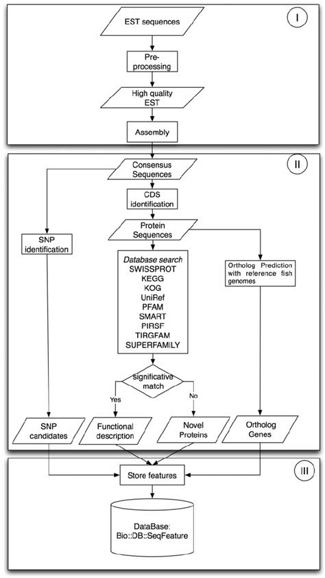 est workflow phase i is preprocessing and assembly phase ii sequence