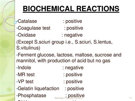 Laboratory Diagnosis Of Staphylococcus
