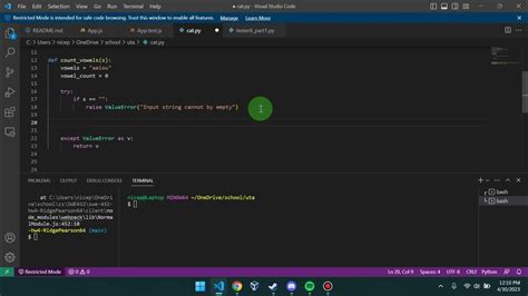 cs112 lab 11 exception handling youtube