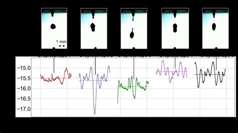 A High Speed Video Camera Hsvc Data And B Millimeter Wave Mw Download Scientific